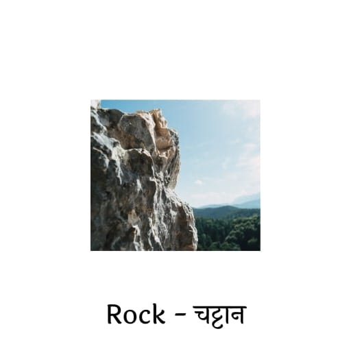 List of Natural Things – English Muni
