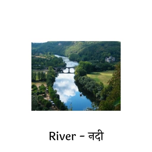 List of Natural Things – English Muni